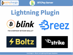 Accept Bitcoin with a BTCPay server